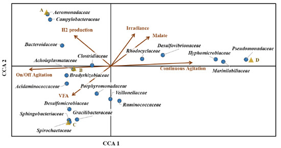 Sustainability | Free Full-Text | Enrichment of a Mixed Culture of ...