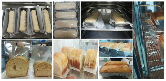 Sustainable Recovery of Antioxidant Compounds from Rossa Di Tropea Onion Waste and Application ...