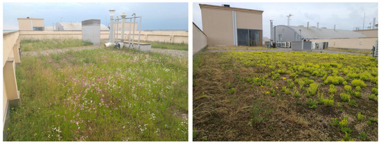 Sustainability Factor for the Cost–Benefit Analysis of Building ...