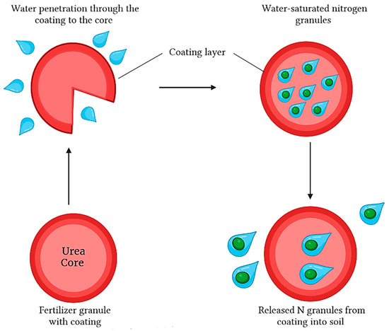 Sustainability | Free Full-Text | Review: Modified Urea Fertilizers and ...
