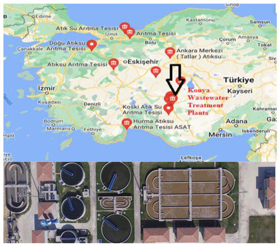 Sustainability | Free Full-Text | A Battery of Simple Bioassays for ...