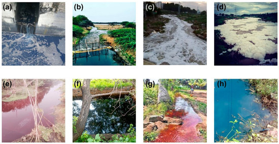 Sustainability | Free Full-Text | Recent Advances in the Remediation of ...