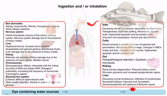 Recent Advances in the Remediation of Textile-Dye-Containing Wastewater ...