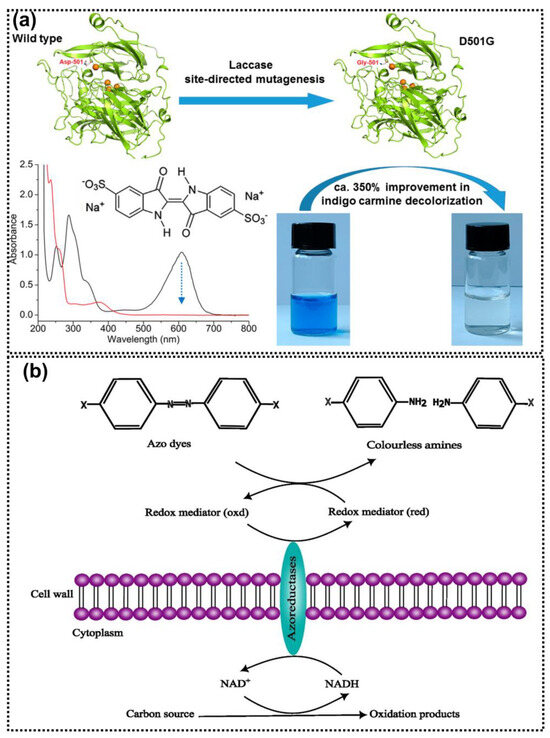 Recent Advances in the Remediation of Textile-Dye-Containing Wastewater ...