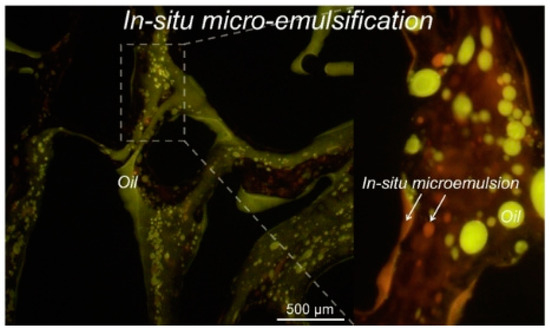 Review: Microemulsions for the Sustainable Development of EOR