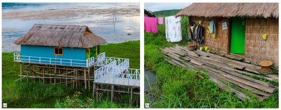 Assessing Green Features of “Phumdi” as a Sustainable Material: A ...