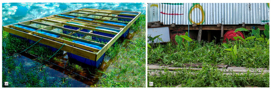 Assessing Green Features of “Phumdi” as a Sustainable Material: A ...