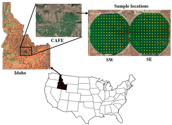 Sustainability | Free Full-Text | Evaluating Intra-Field Spatial ...