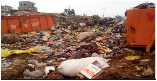 An Imported Environmental Crisis: Plastic Mismanagement in Africa