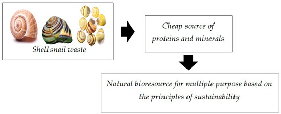 Snail Shell Waste Threat to Sustainability and Circular Economy: Novel ...