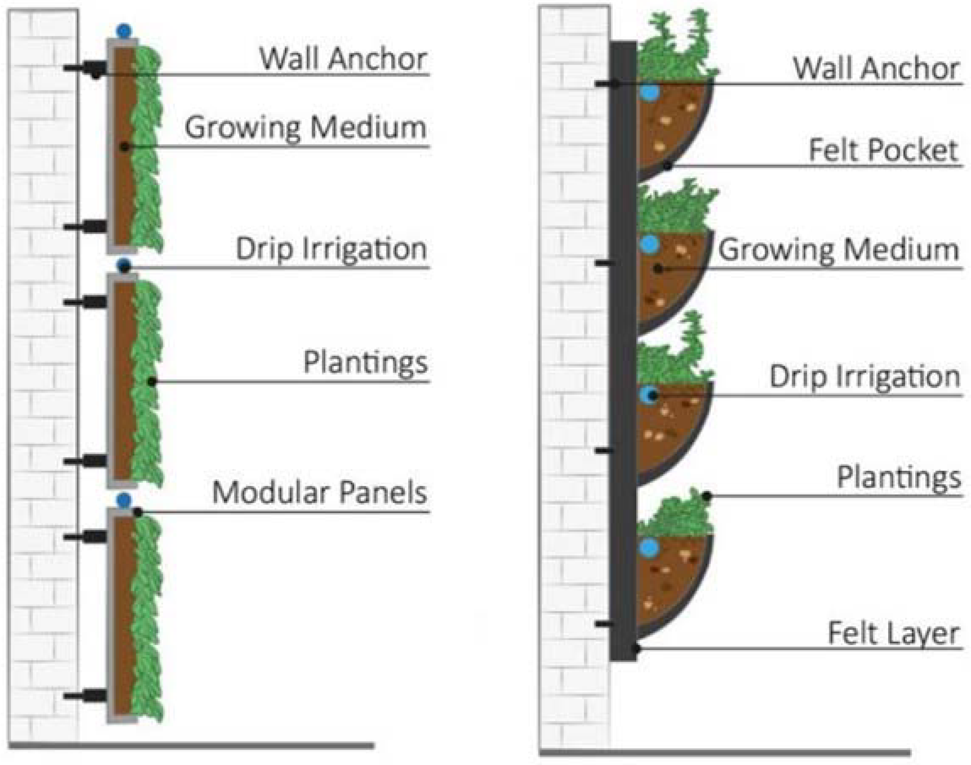 A Nature-Inspired Green–Blue Solution: Incorporating a Fog Harvesting ...