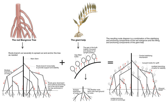 Amphibious Architecture: A Biomimetic Design Approach to Flood Resilience