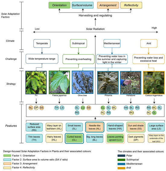 From Flora to Solar Adaptive Facades: Integrating Plant-Inspired Design ...