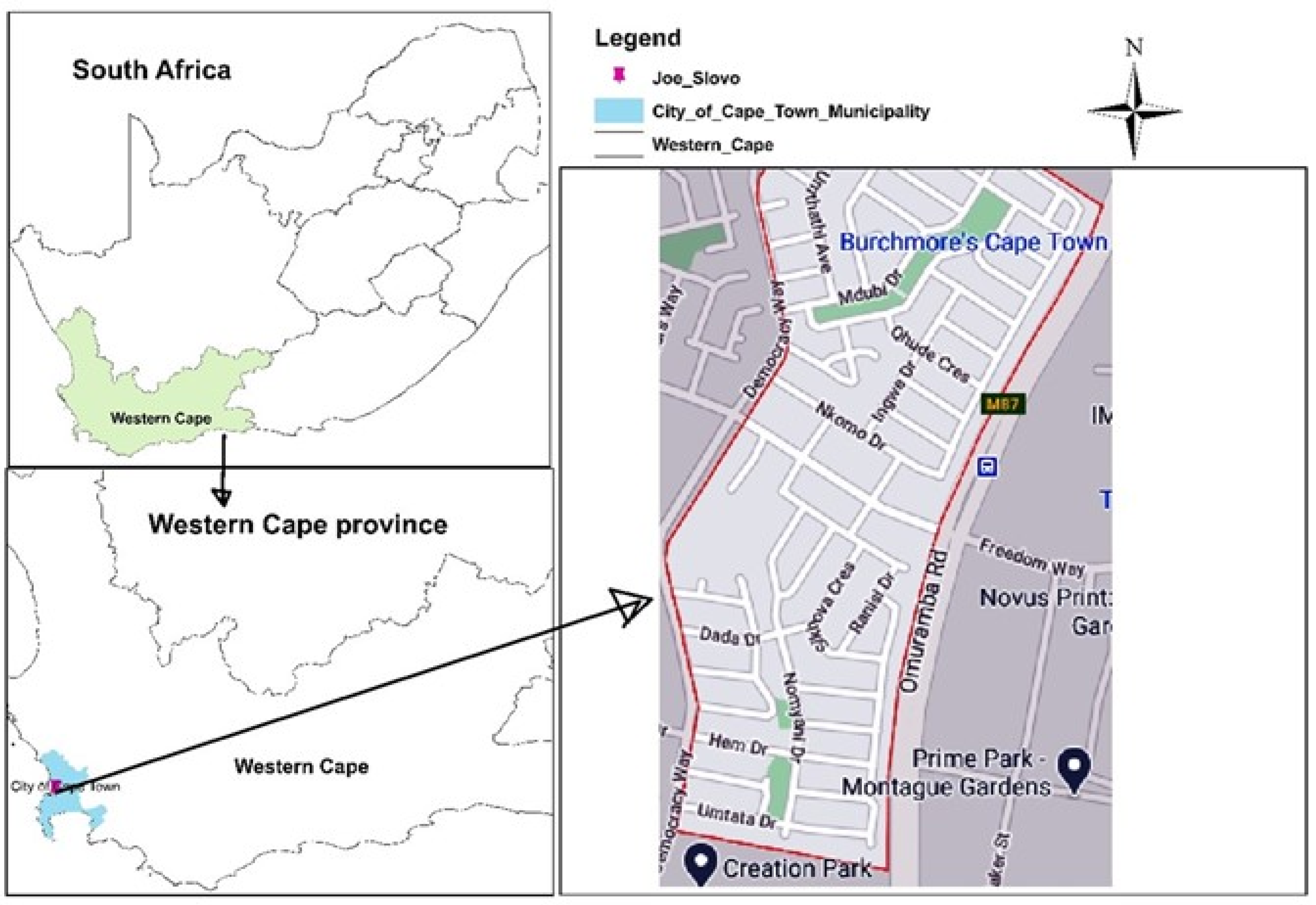 Identification of Illegal Dumping and Community Views in Informal Settlements, Cape Town: South ...