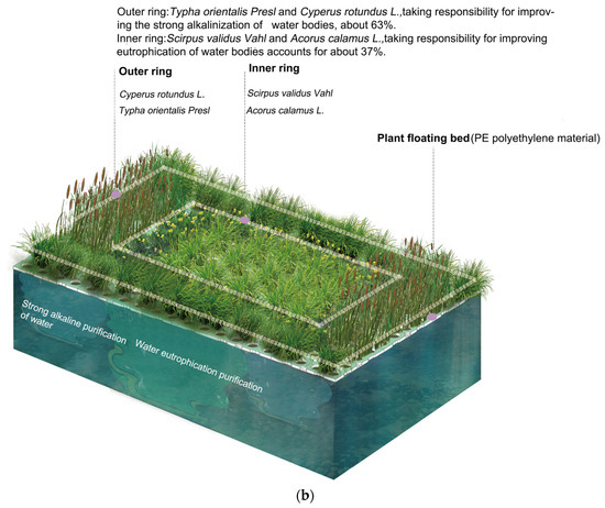 Ecological Restoration of Habitats Based on Avian Diversity and ...