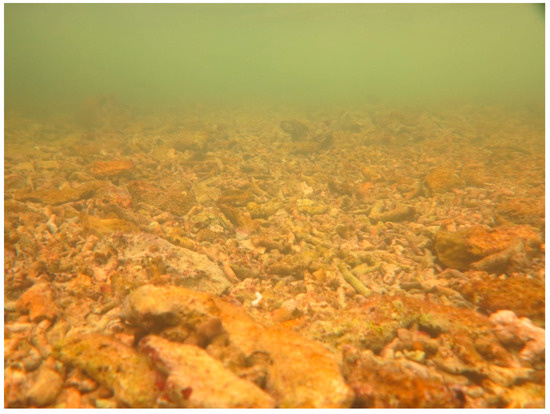 Stronger Hurricanes and Climate Change in the Caribbean Sea: Threats to ...