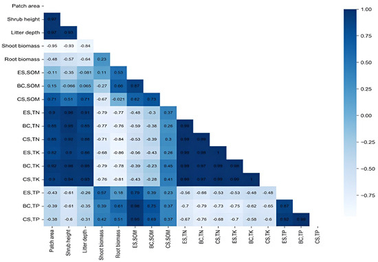 Assessing Shrub Patch Characteristics and Soil Nutrient Distribution ...