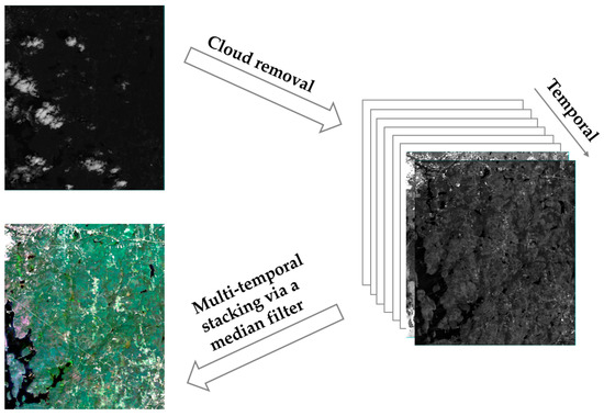 Sustainability | Free Full-Text | Forest Canopy Height Retrieval and Analysis Using Random ...