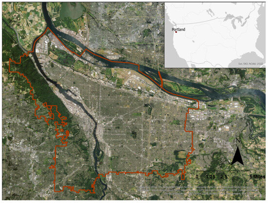 Sustainability | Free Full-Text | Drivers of Tree Canopy Loss in a Mid ...