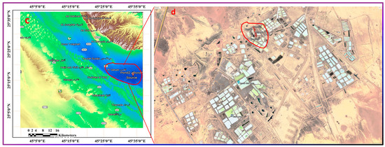 Sustainability Evaluation of the Al-Qasab Playa by Integrating ...