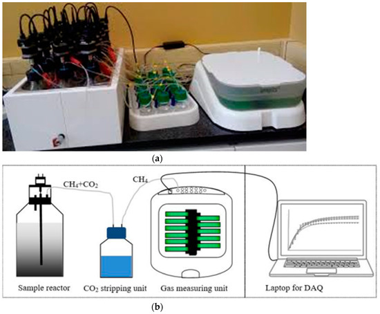 Impact of Thermal Pretreatment on the Physicochemical Characteristics ...
