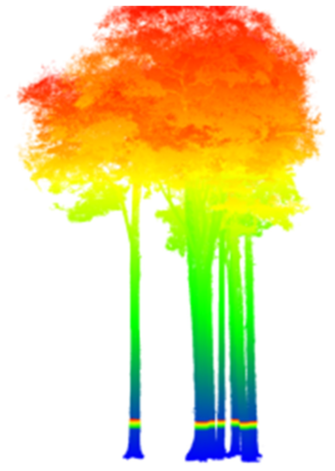 Estimation of Diameter at Breast Height in Tropical Forests Based on ...