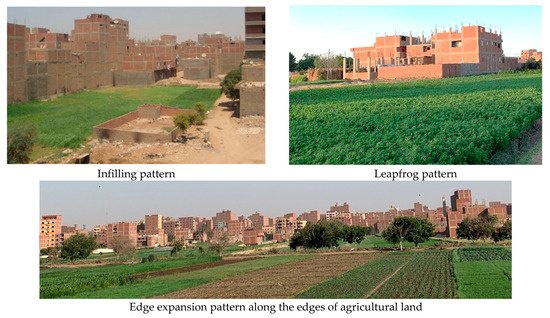 Impacts of Rapid Urban Expansion on Peri-Urban Landscapes in the Global ...