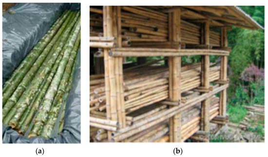 Sustainability | Free Full-Text | Bamboo as a Sustainable Building ...