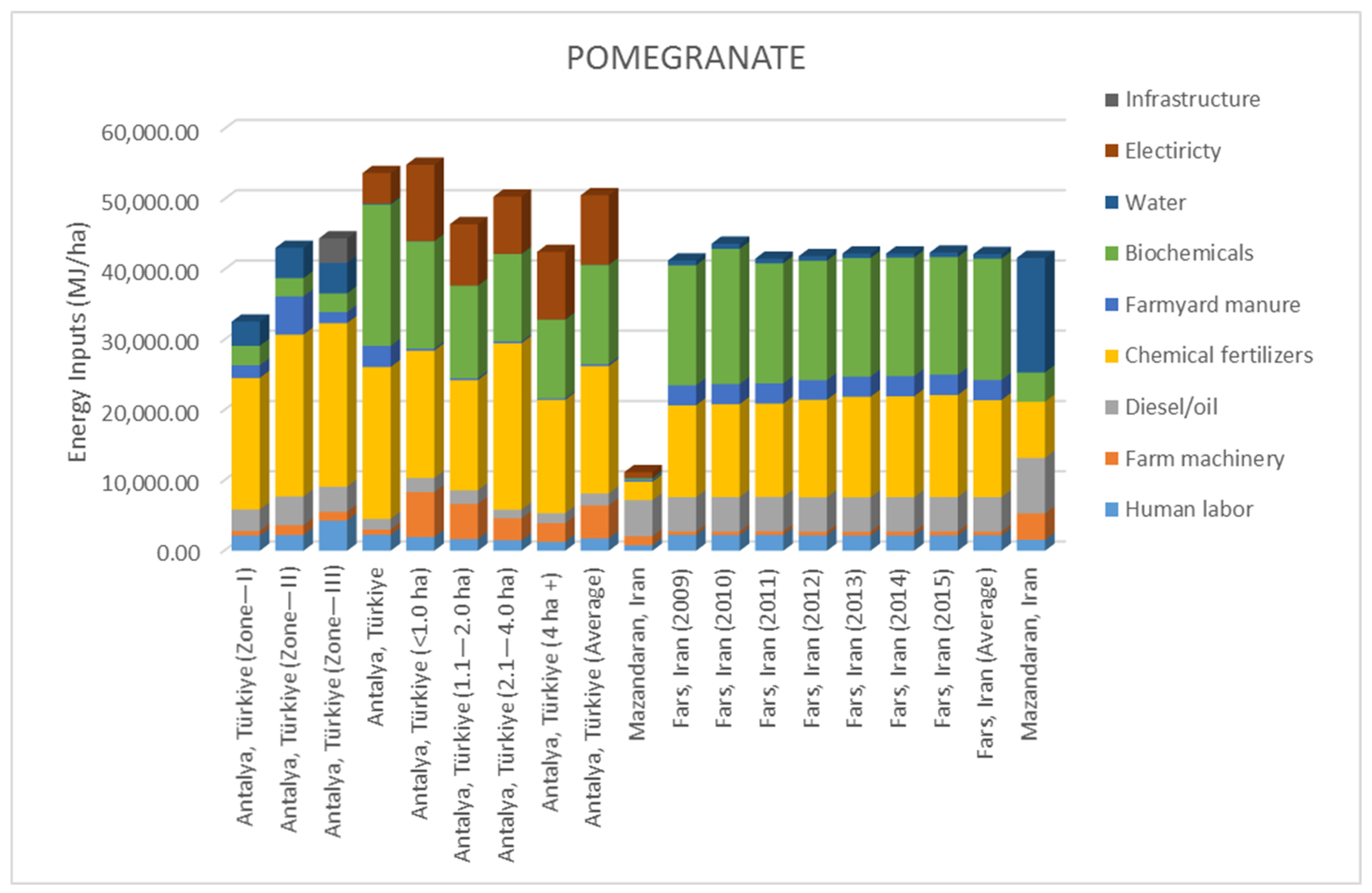 Energy Analysis for Global Berry Fruit Production