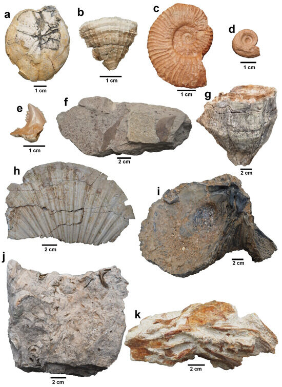 Sustainability | Free Full-Text | From the Ground to the Public: Old ...