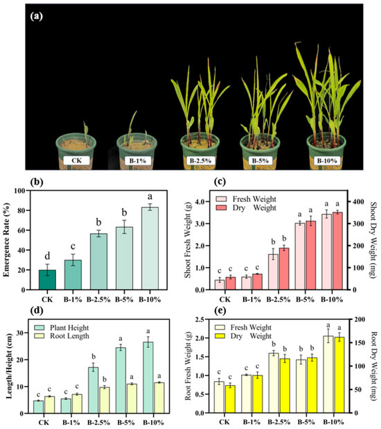 Optimizing Biochar Application Rates to Improve Soil Properties and ...