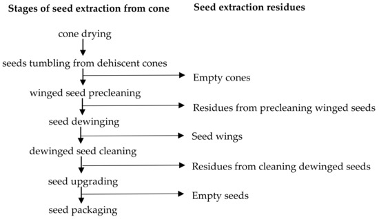 Energy Efficiency of Conifer Cones and Seed Extraction Residue Biomass