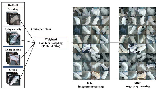 A Deep-Learning-Based System for Pig Posture Classification: Enhancing Sustainable Smart Pigsty ...