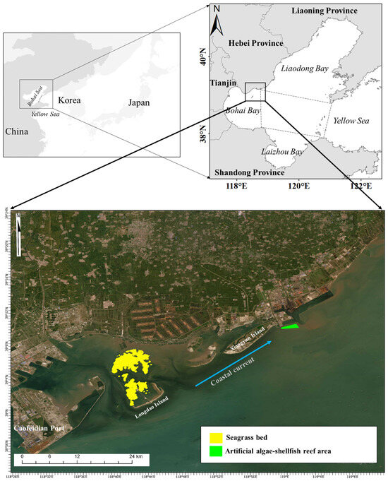 Coastal Ecological Connectivity between Seagrass Bed and Marine Ranching 30 km Apart: A Case ...