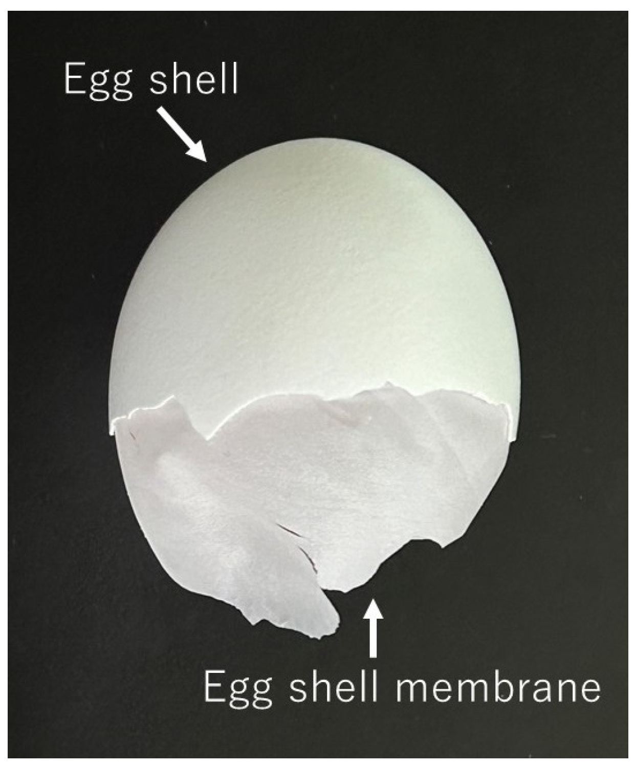 Sustainability | Free Full-Text | Fabrication of Functional Gypsum ...