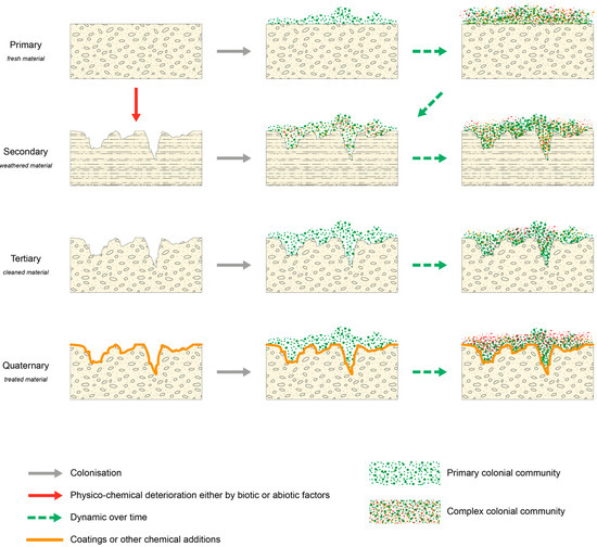 Bioreceptive Ceramic Surfaces: Material Experimentations for ...