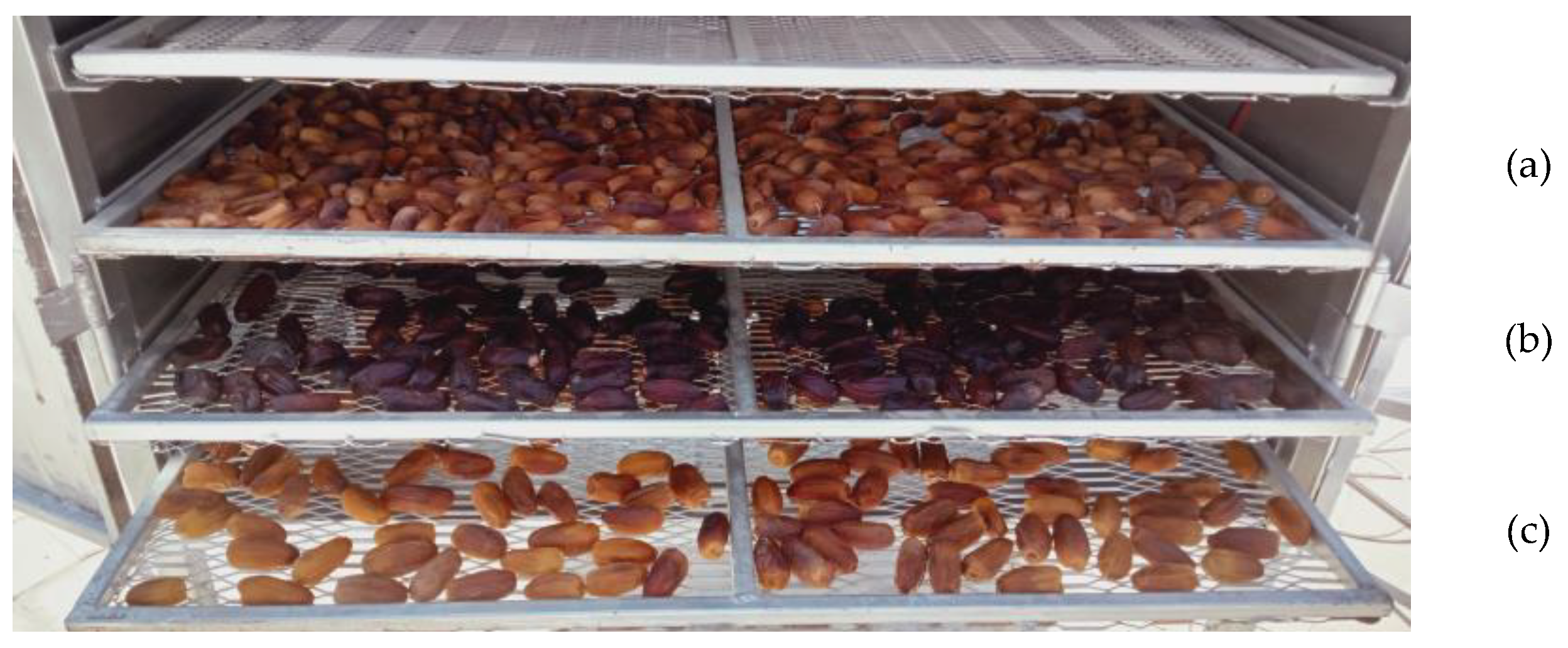 The Mathematical Modeling, Diffusivity, Energy, and Enviro-Economic ...