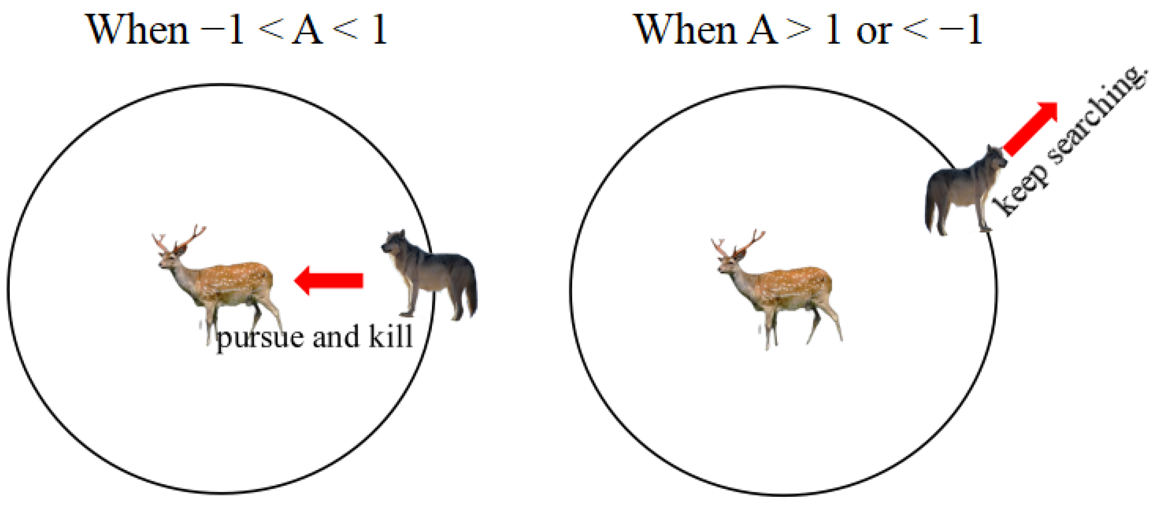 Optimal Allocation of Water Resources in Canal Systems Based on the ...