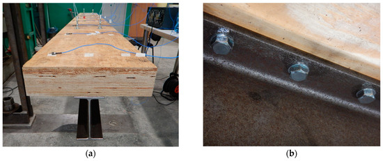 Dynamic Response of Steel–Timber Composite Beams with Varying Screw Spacing