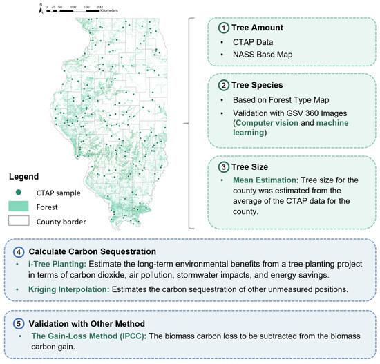 A Landscape Approach to Understanding Carbon Sequestration Assets at a ...