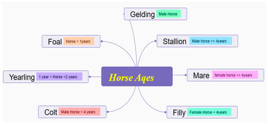 Sustainability | Free Full-Text | An Optimization Algorithm for Embedded Raspberry Pi Pico ...