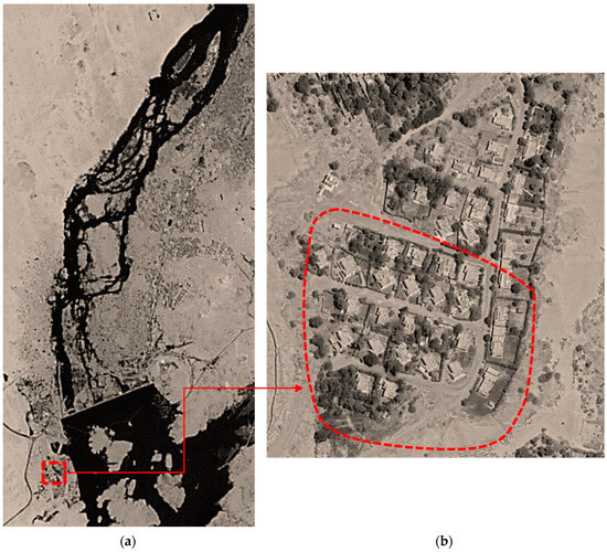 Investigating the Impact of Various Vegetation Scenarios on Outdoor ...
