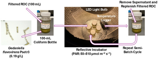 Optimization of Dissolved Silica Removal from Reverse Osmosis ...