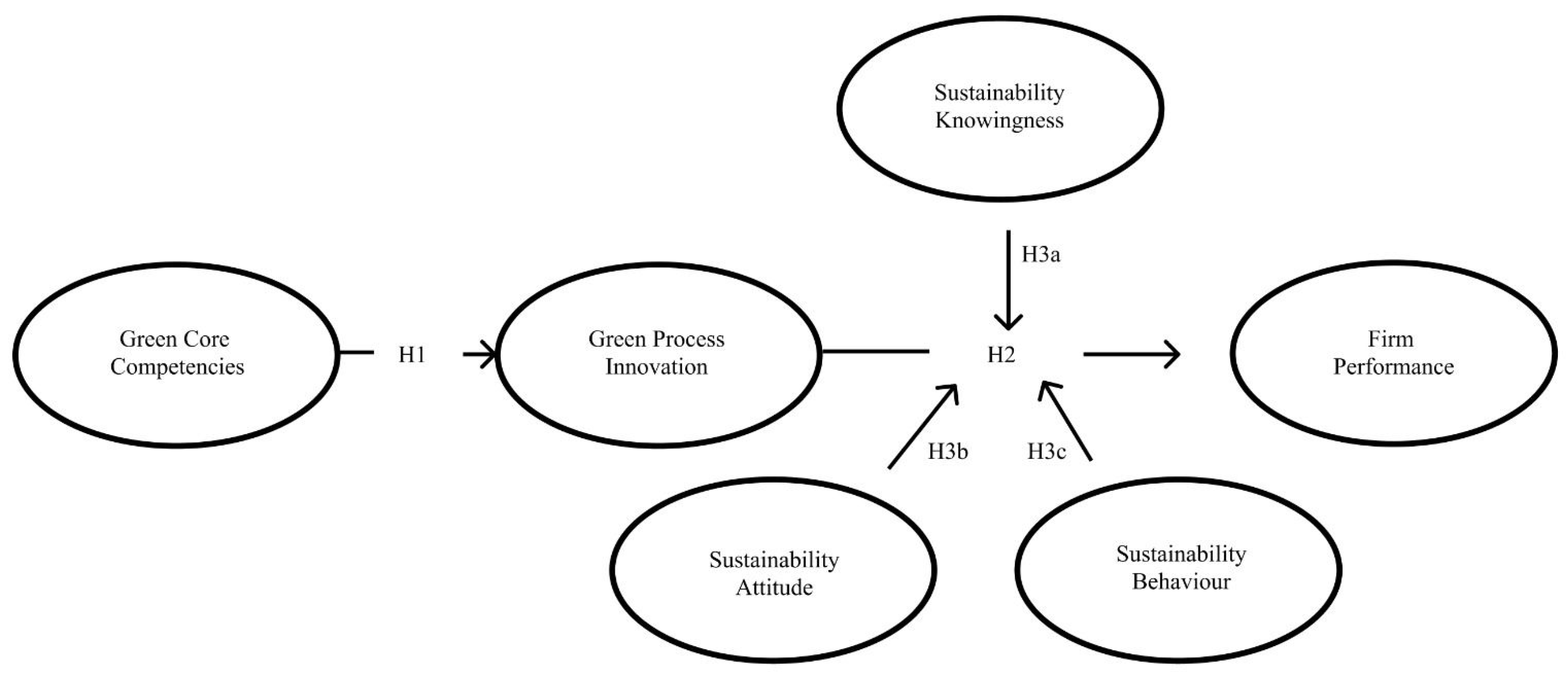 Green Core Competencies, Green Process Innovation, and Firm Performance ...