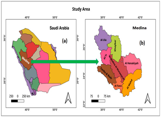 Exploring Climate-Induced Agricultural Risk in Saudi Arabia: Evidence ...