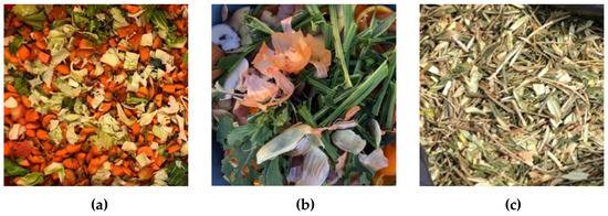 Composting of Biowaste Generated in University Canteens and Rural ...