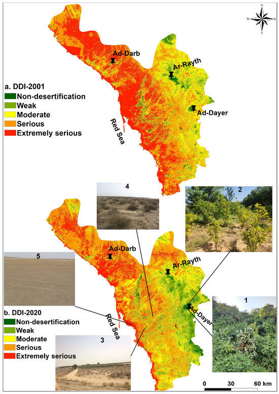 Assessment of Desertification Dynamics in Arid Coastal Areas by ...