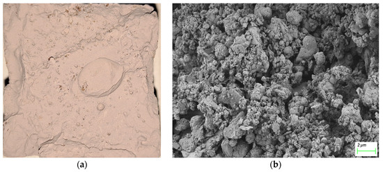 Solidification Mechanism of Bayer Red Mud under the Action of Calcium ...