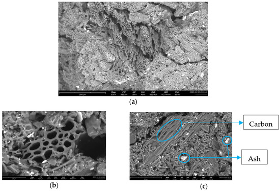 Carbon Dioxide Gasification of Biochar: A Sustainable Way of Utilizing ...