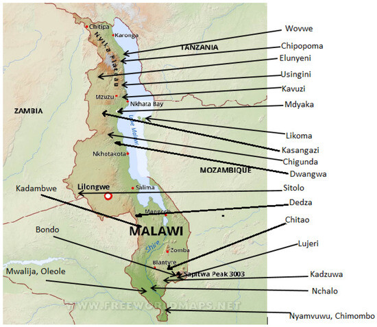 The Quest for Resilient Sustainable Development and Low-Carbon Energy ...